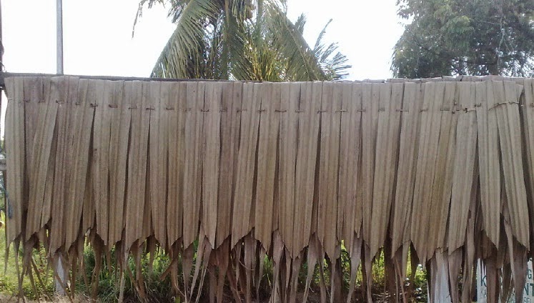 Pembekal Atap Rumbia Atap Nipah Atap Lalang Traditional Thatched Roof