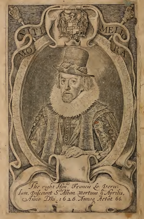 Phantoms and Monsters - Real Eyewitness Cryptid Encounter Reports