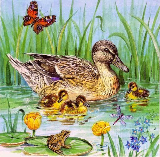 Mese Suranak es Obinak: Antalfy István: Kacsa család