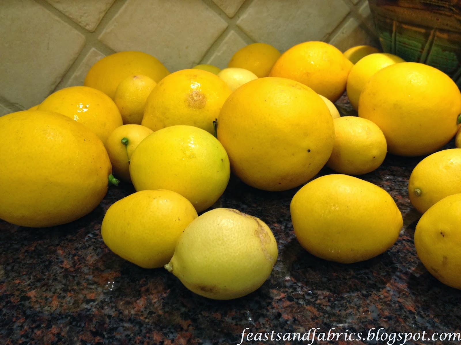 Feasts and Fabrics: Citrus Treasures from Florida