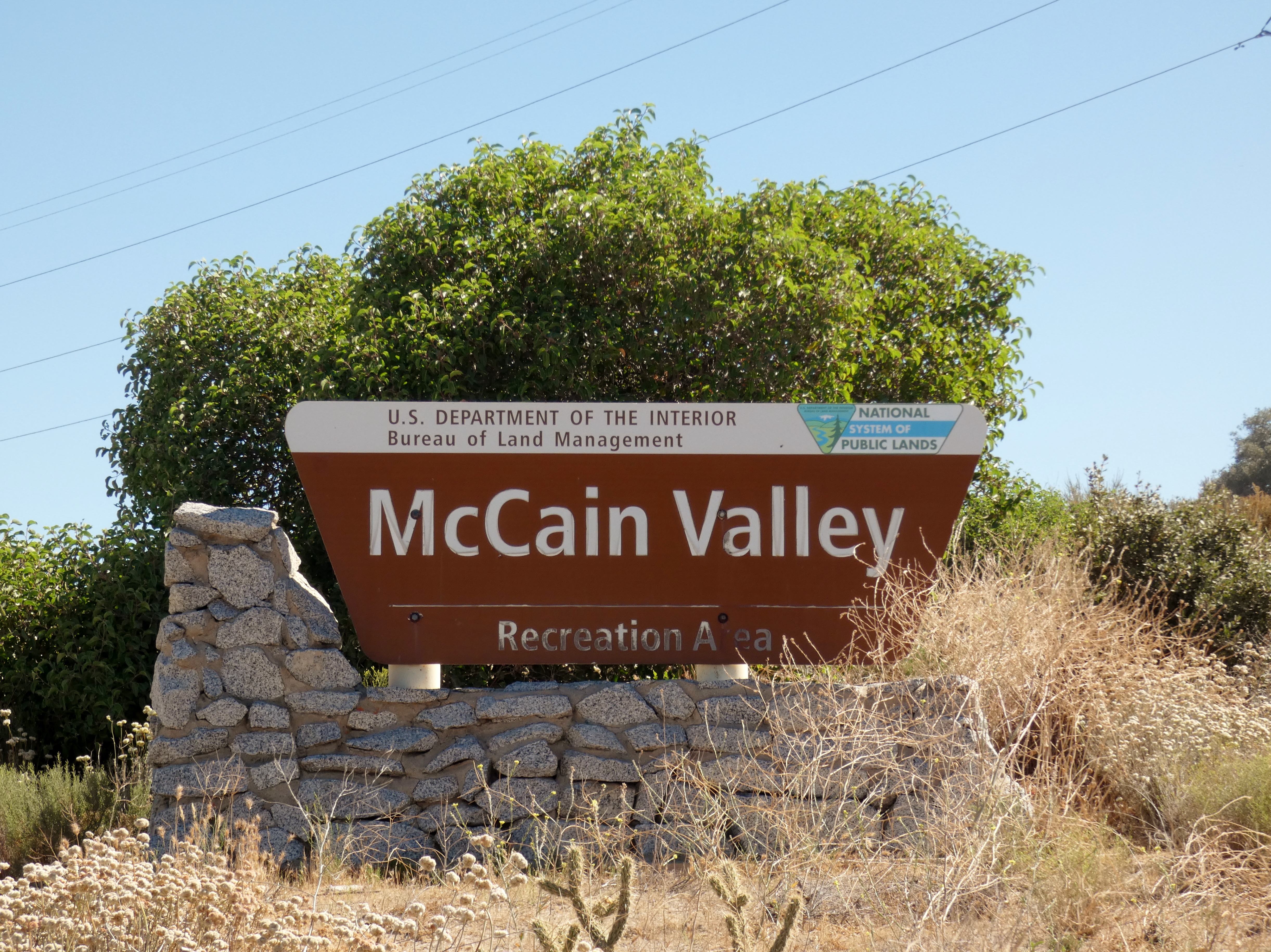 Ruffin it with Rufus: McCain Valley - BLM San Diego