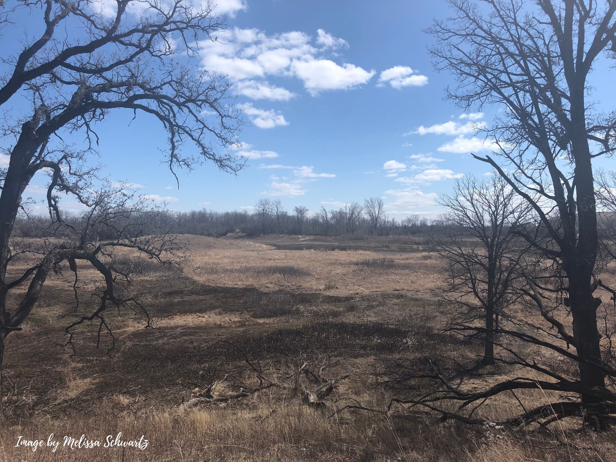 A Little Time and a Keyboard: Admiring the View at Bluff Spring Fen ...
