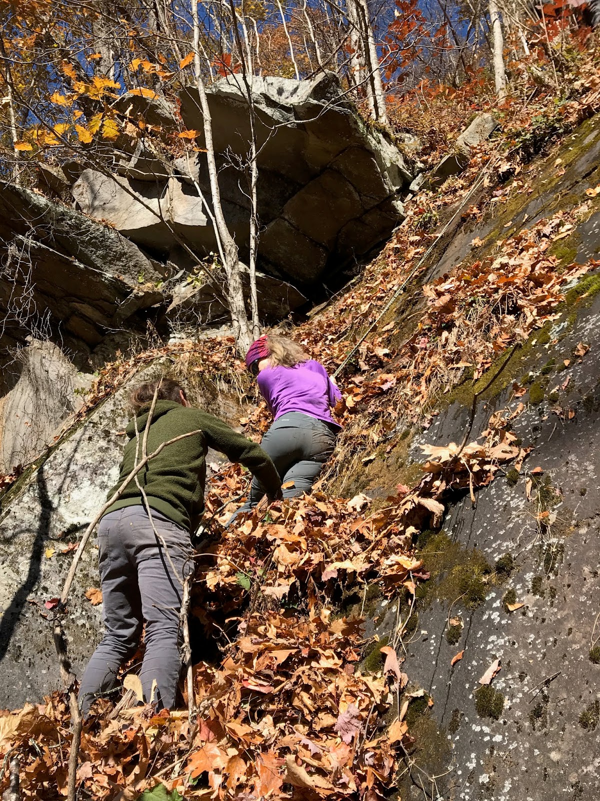 The Adventures of Bushwhack Jack: 2019-11-16 Fort Harry Smokies Adventure