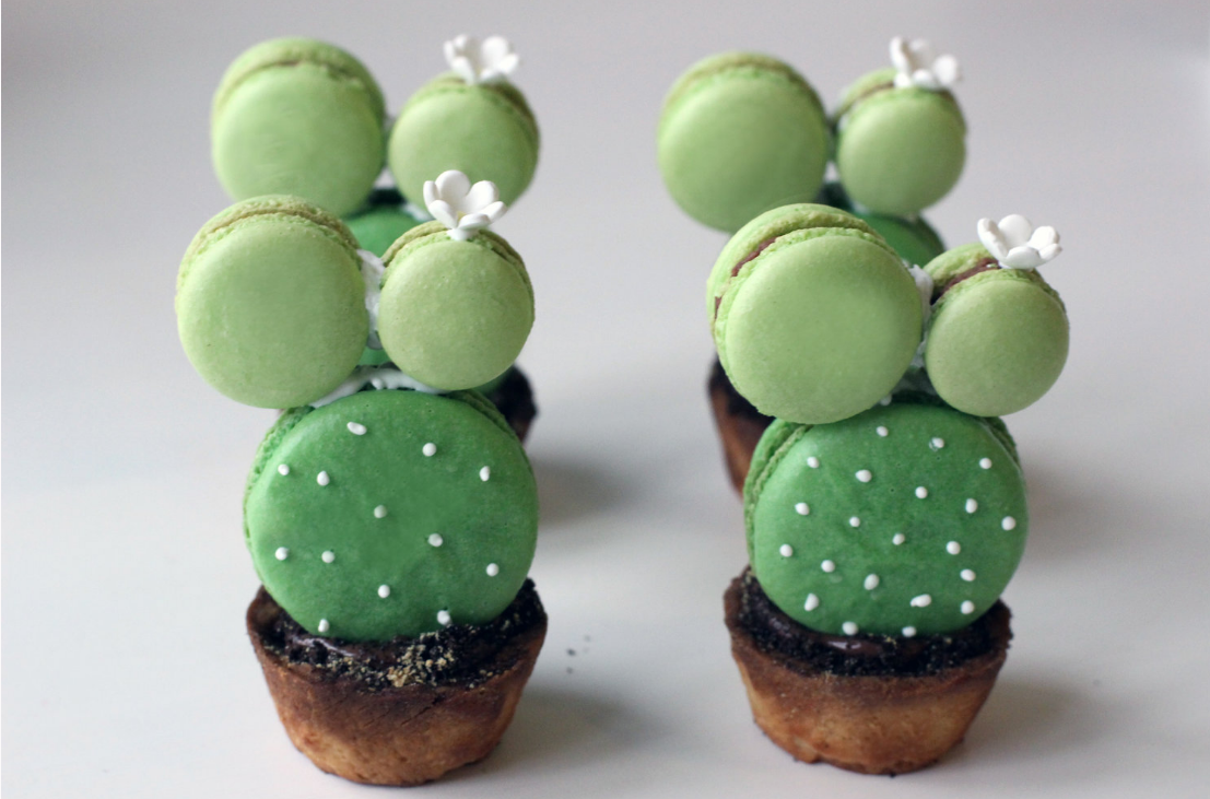 HOW TO MAKE THE SPINY CACTUS FRENCH MACARON - Food Boiling