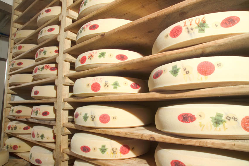 EMMENTAL GRAND CRU LABEL ROUGE: Présentation du fromage