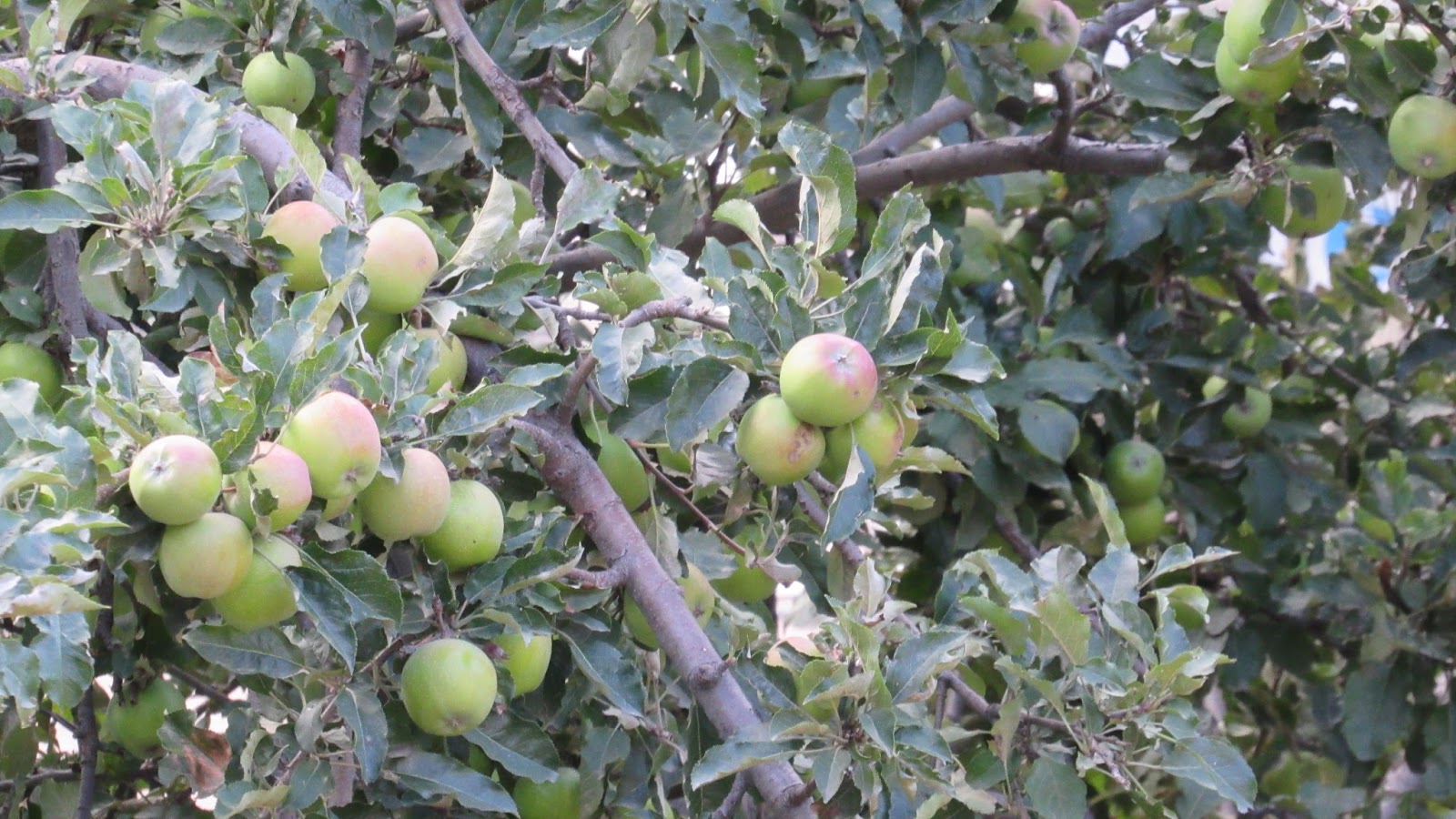 From South End to North End of Pakistan, Karachi to Khunjerab [-12ft to ...