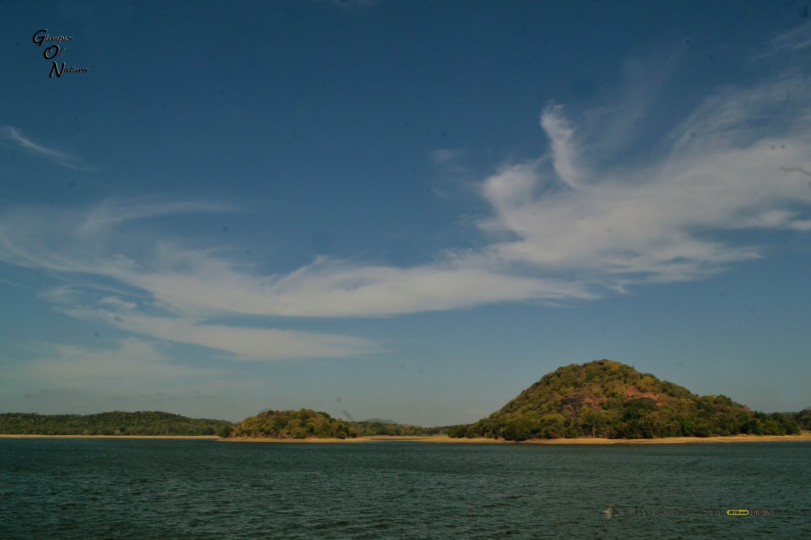 Journey Through Wilderness