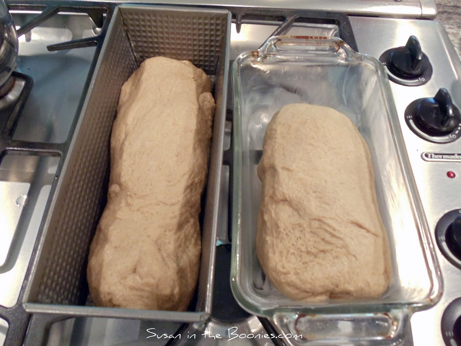 Whole Wheat Bread Tutorial, Part 4: The Recipe - That Susan Williams