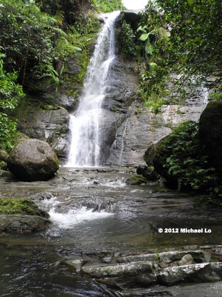 The rainforests of Borneo & Southeast Asia: Waterfalls & cascades ...