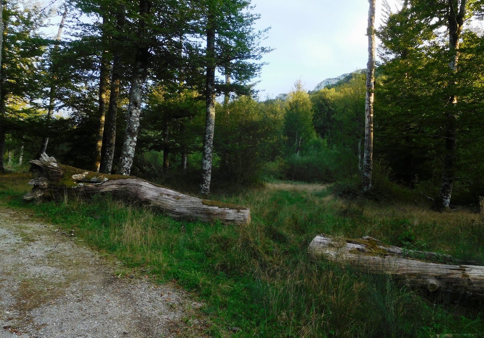 SARABEKO HAITZA desde el VALLE DE SARABE ( URDIAIN ) 159