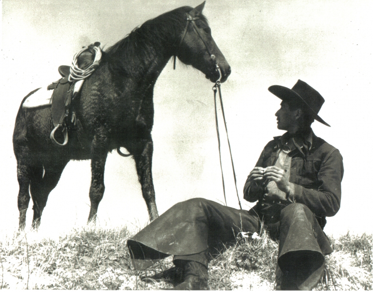 EL HOMBRE QUE MATO A LIBERTY VALANCE: COWBOYS - LA HISTORIA DEL VAQUERO AMERICANO