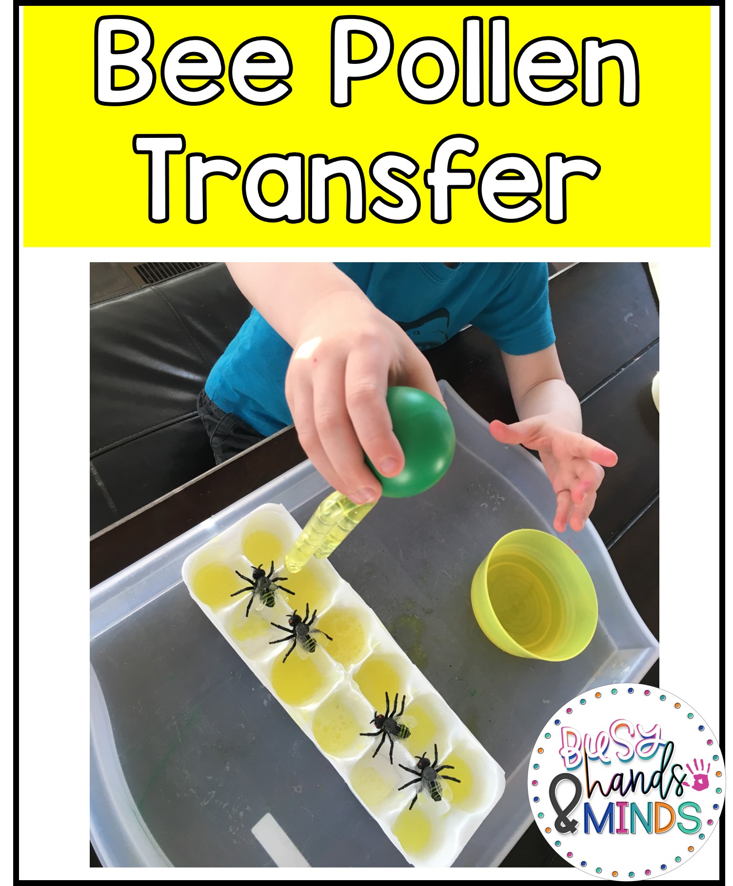 Bugs and Insects Preschool Theme | Busy Hands and Minds