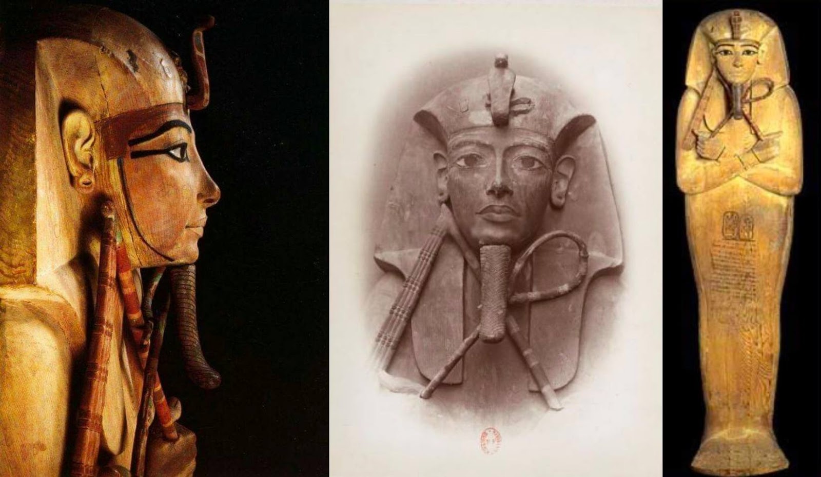 égyptophile: Dans ce cercueil reposait la momie du pharaon Ramsès II…