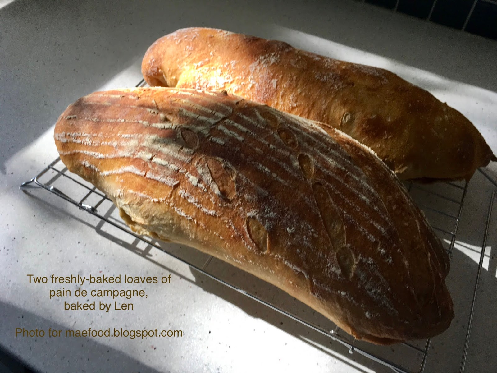 Mae's Food Blog: Bread Baking News