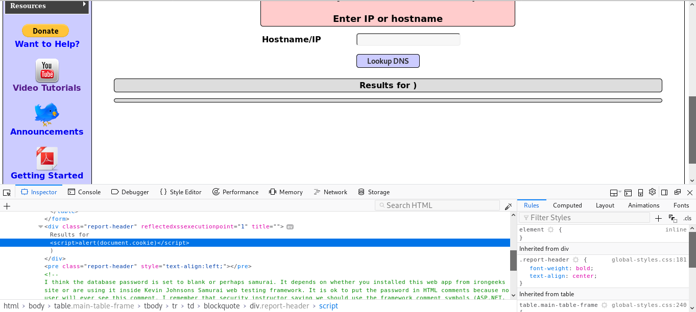 OWASP Cross Site Scripting (Reflected, Stored, DOM) ~ The Cybersploit