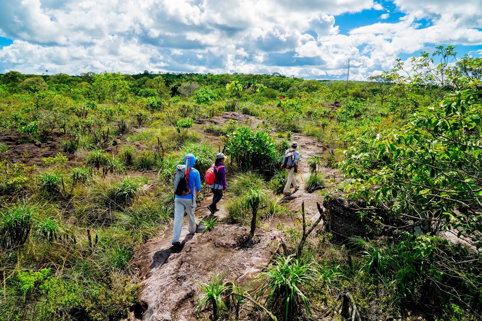 A Guide to Caño Cristales - Colombia | The Endless Adventures