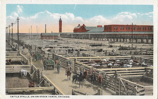 Moo & Oink, The Union Stock Yards of Chicago