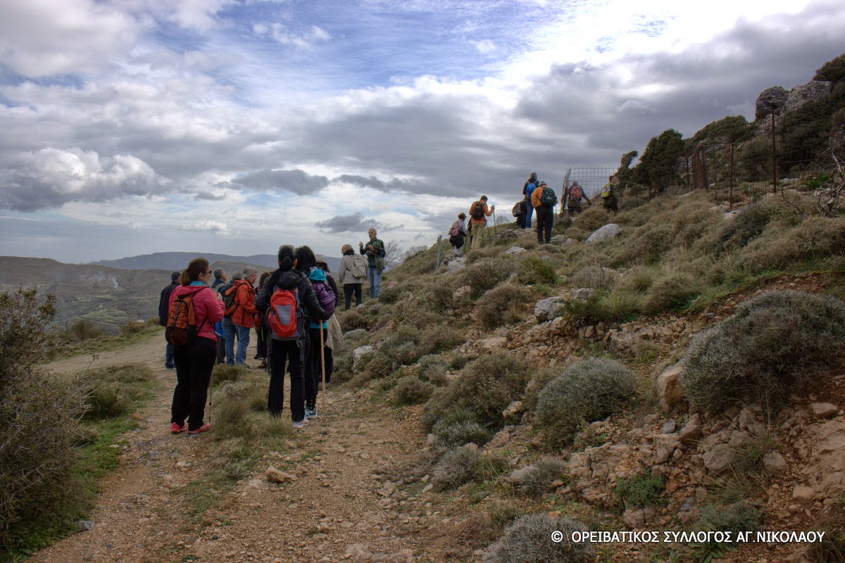 EXPLORE MOUNTAINS: ΜΟΝΟΠΑΤΙ Ε4 ΔΑΦΝΗ-ΠΕΥΚΟΙ ΣΤΗΝ ΣΗΤΕΙΑ