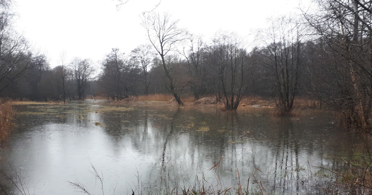 @birdingdad: Askham Bog Lake