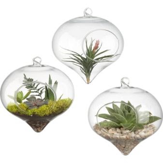 The Fern and Mossery: Hanging Terrarium Vase at CB2