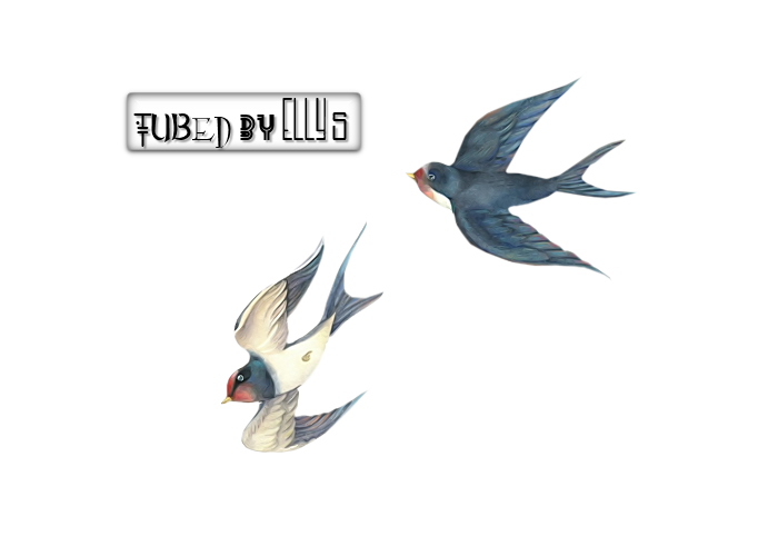 Alles voor en over PSP : TUBES VOGELS