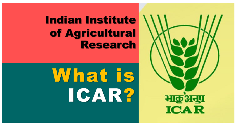 What is ICAR? - AMERICAN WORKERS LOOKING FOR JOBS