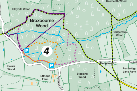 Hertfordshire Walker: Walk 27: Broxbourne Wood North Loop