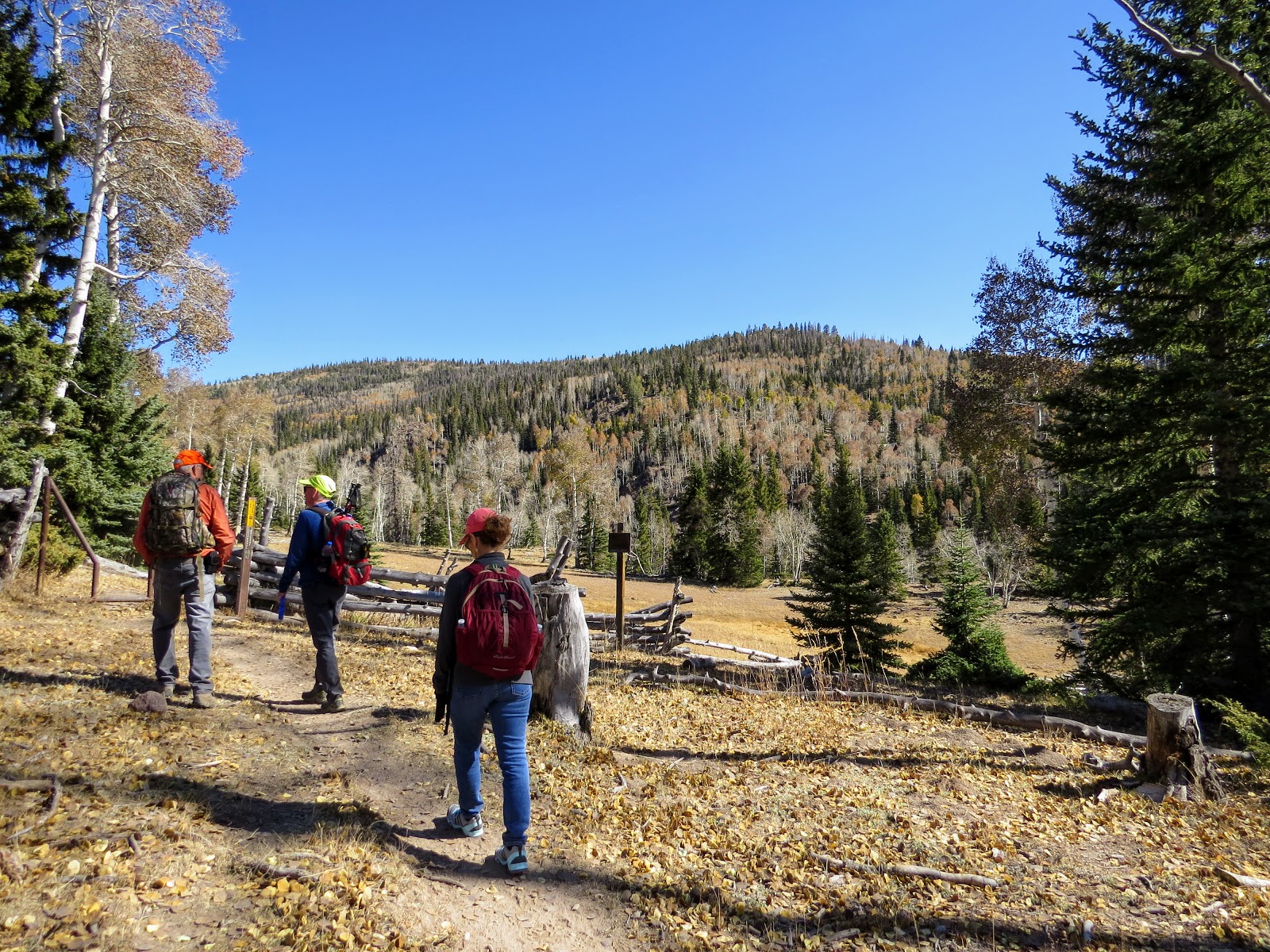 Beyond My Couch: Duncan Creek