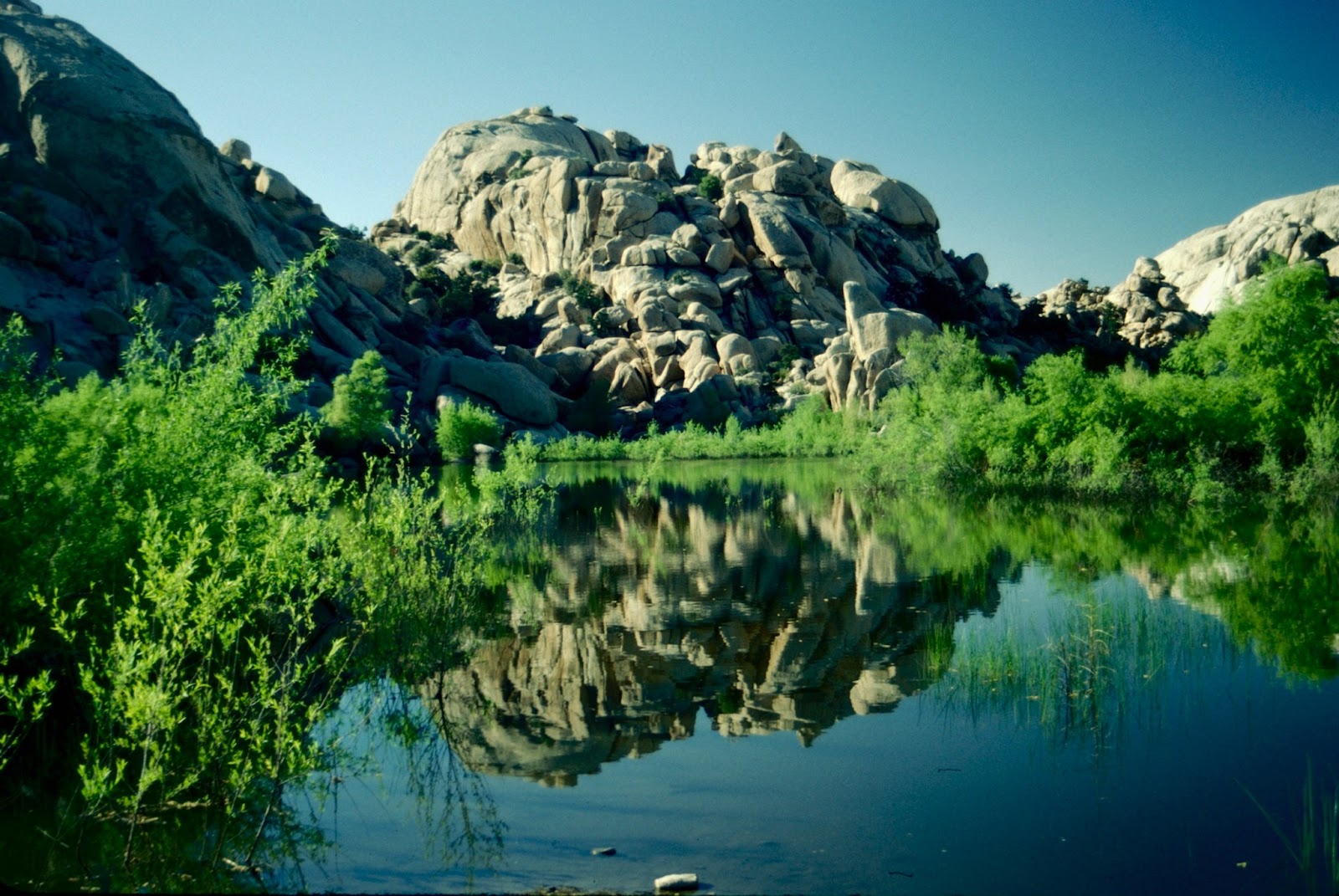 José Sinclair Photography: Willow Springs, Joshua Tree National Monument
