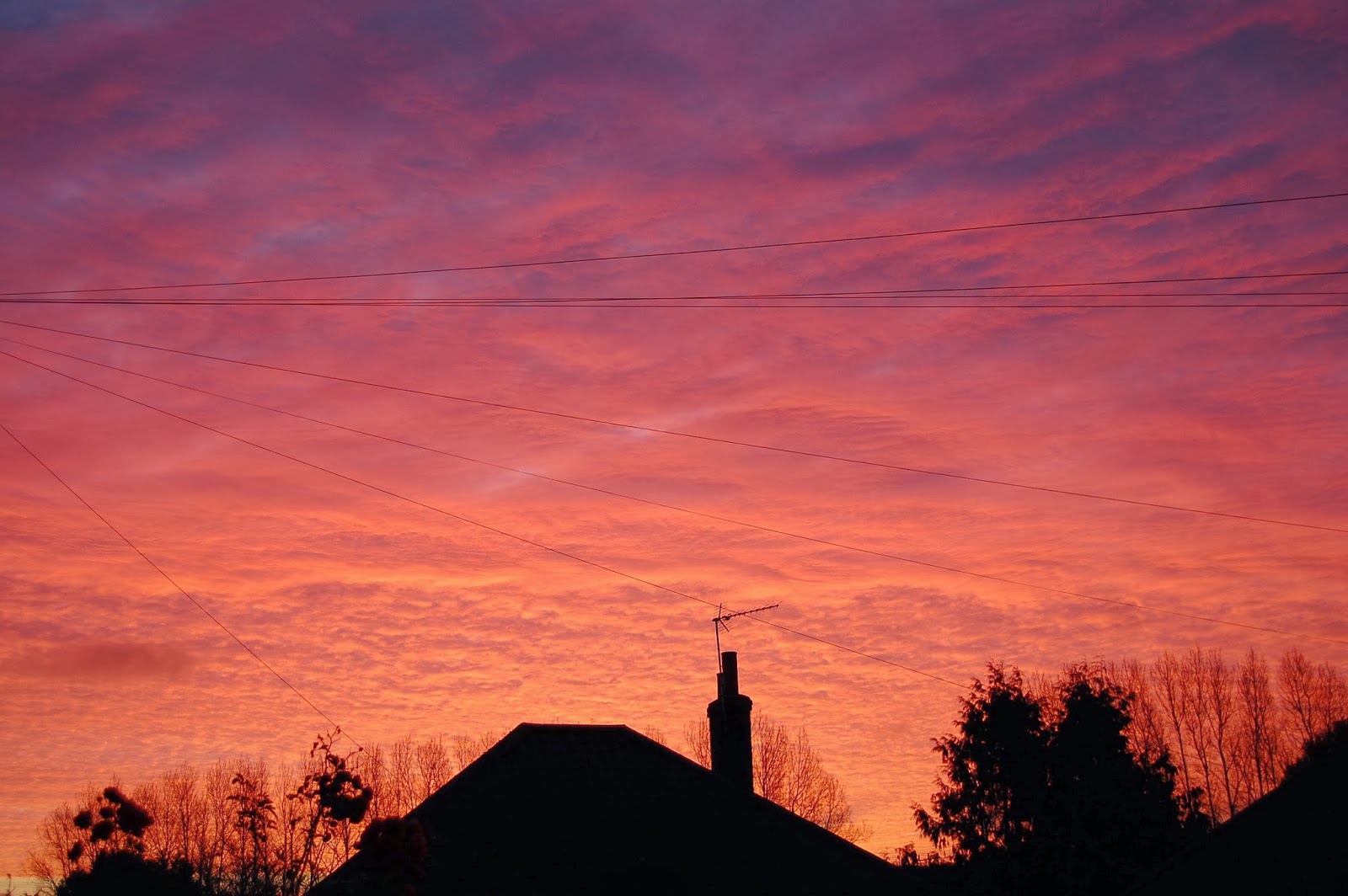 Bureboyblog: Cold morning warm sky