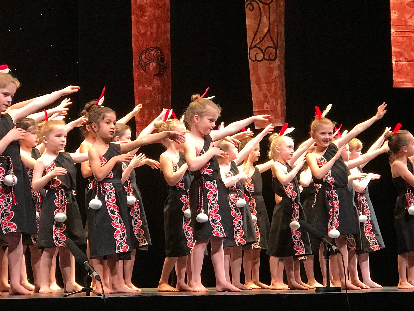 CSNS Kapa Haka : Te Pae Tamariki 2017 photos