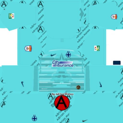 KIT AND LOGO FTS/DLS