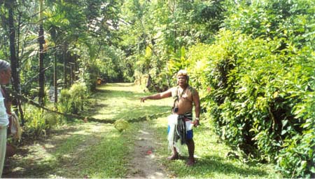 Exploring The Tropical Dry Forests in The Islands of Yap: Community ...