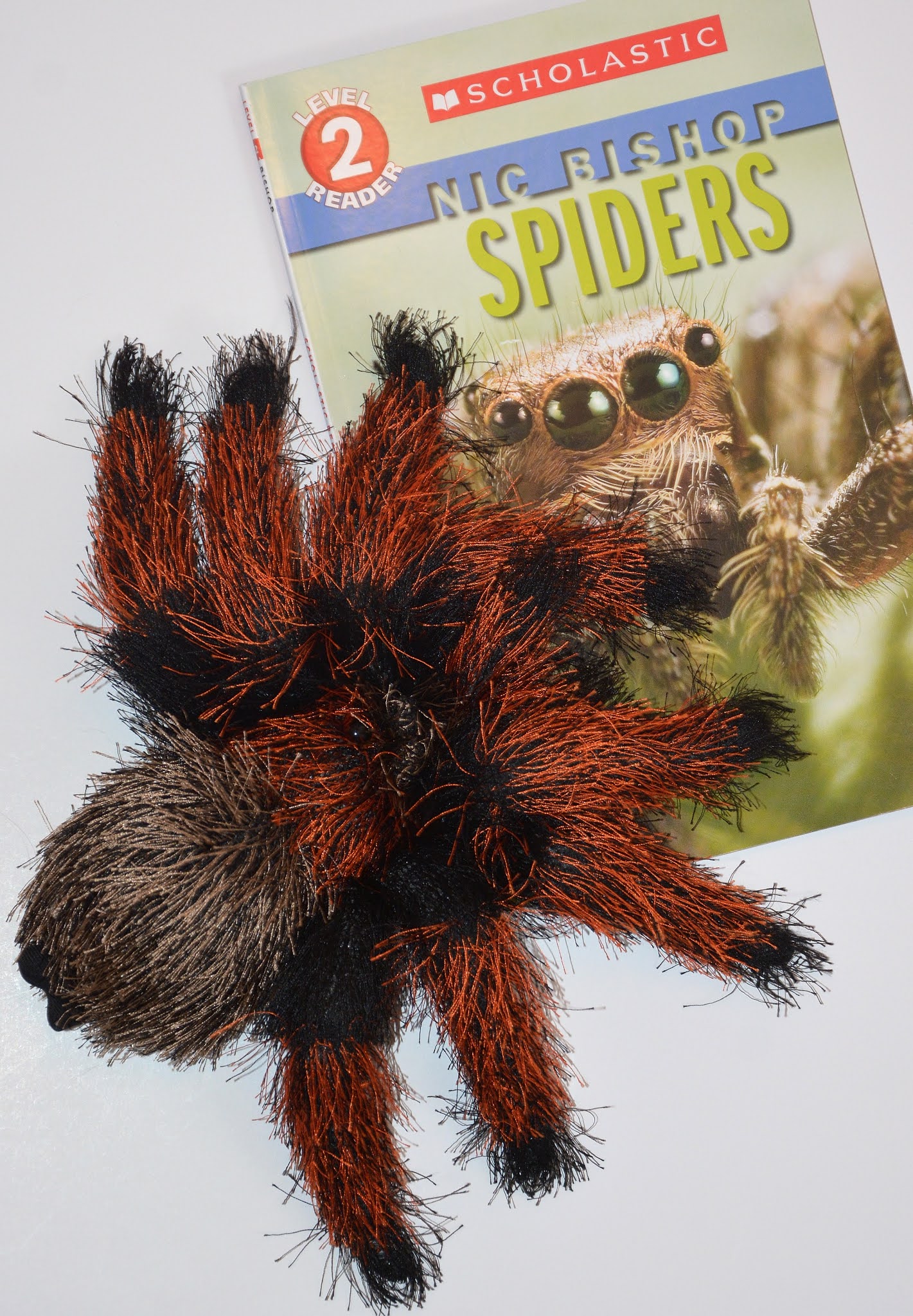 What Happens at Grandma's: Spider Inspectors!