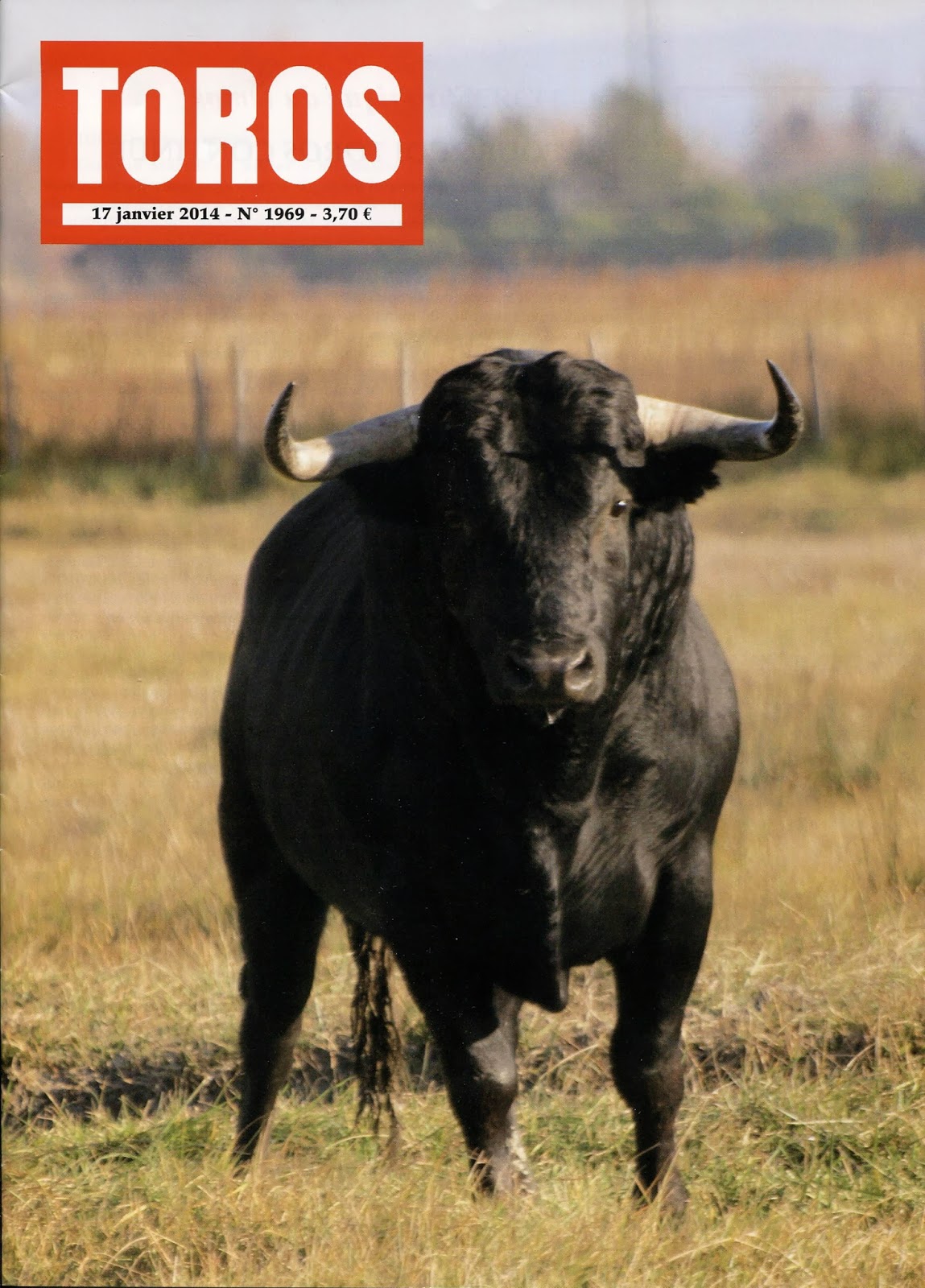 L' ŒIL CONTRAIRE: Le nouveau TOROS est arrivé