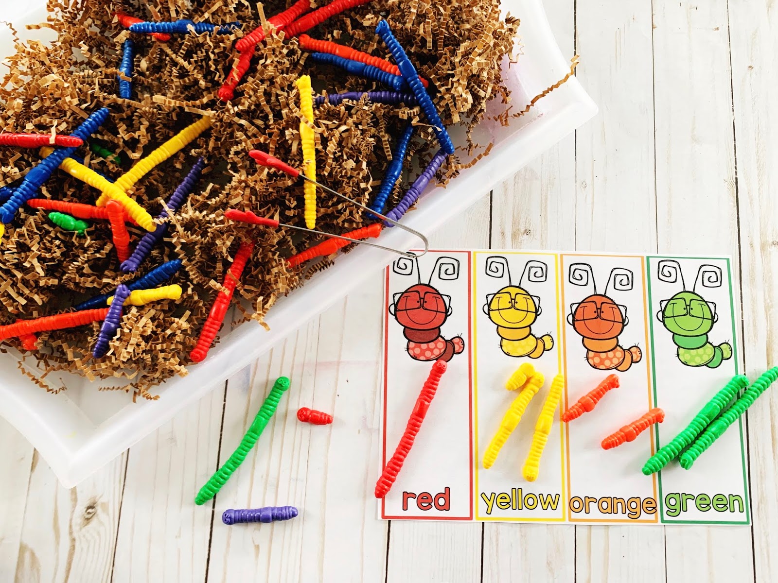 Birds Preschool Theme