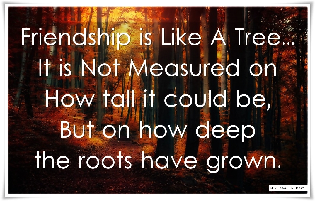 Friendship Is Like A Tree - SILVER QUOTES