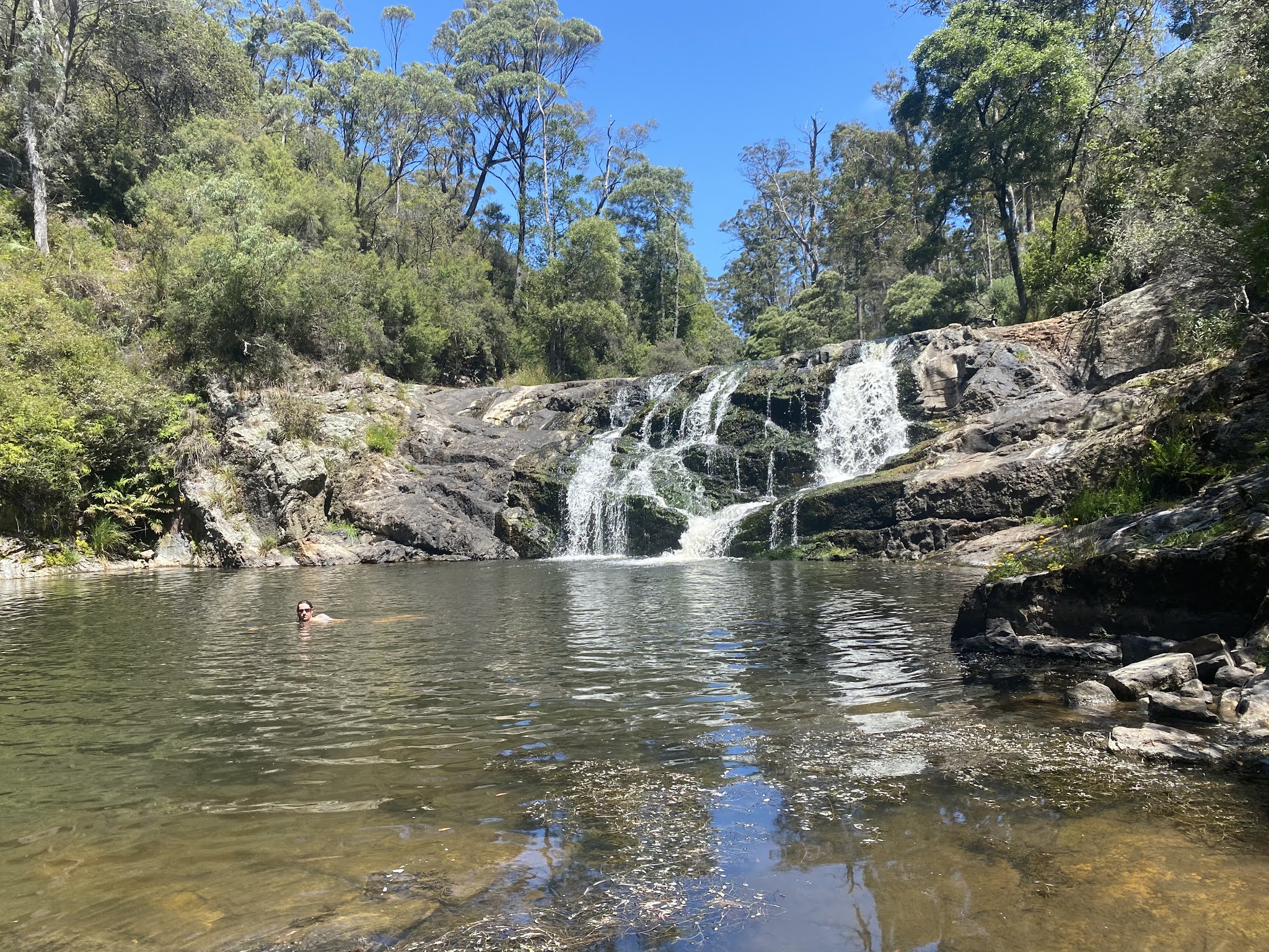 A Swim at Lobster Falls