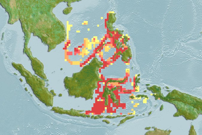 Artes de Pesca: febrero 2020