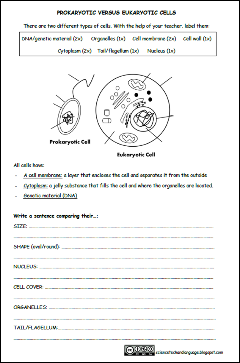 Unit 1: Living Things
