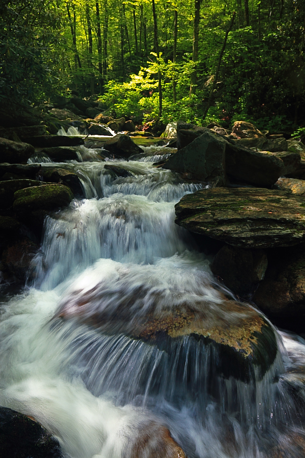 Doug's Photo Blog: A Mountain Stream in Late Spring