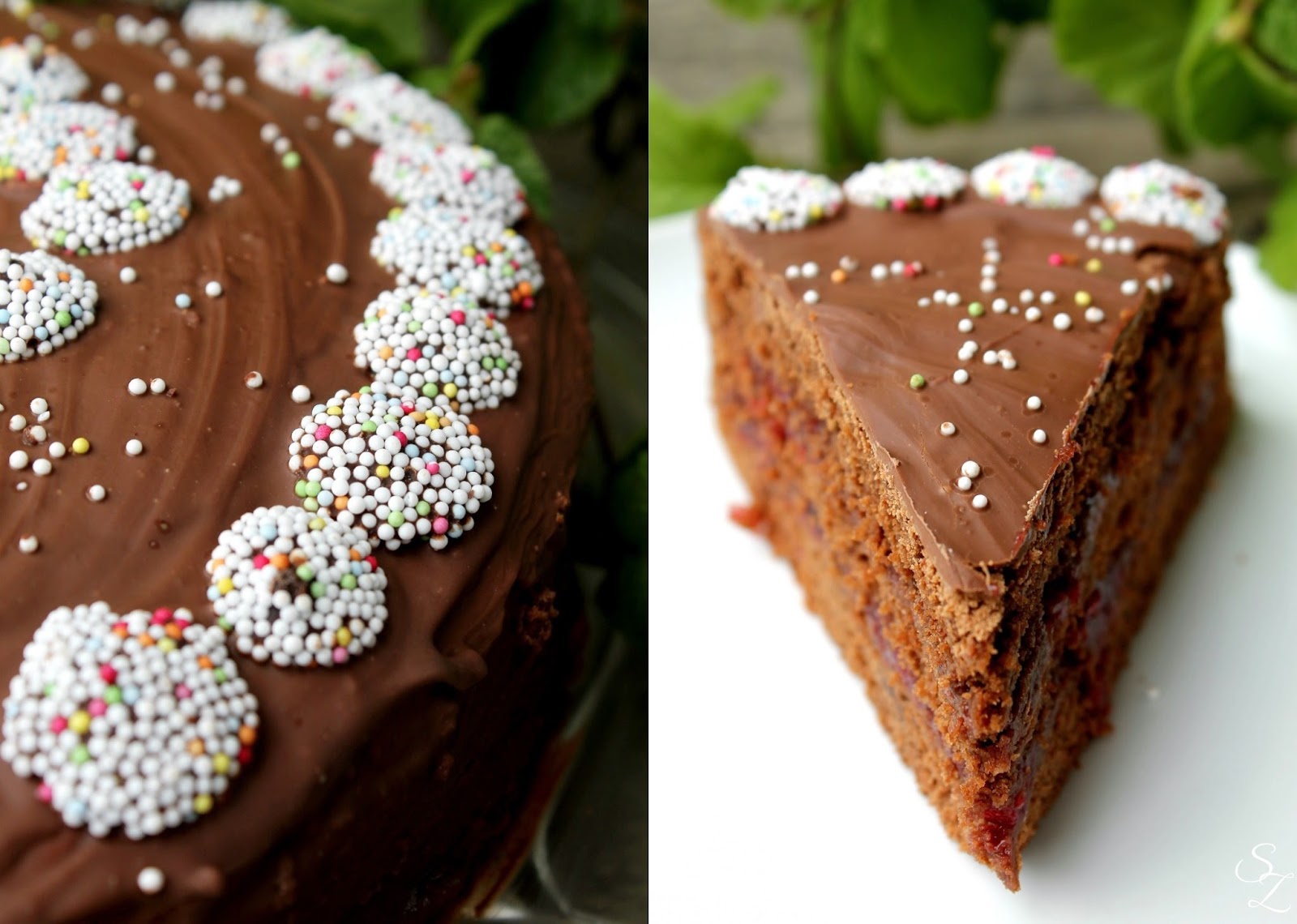 Schokokuss Und Zuckerperle Schoko Preiselbeer Torte