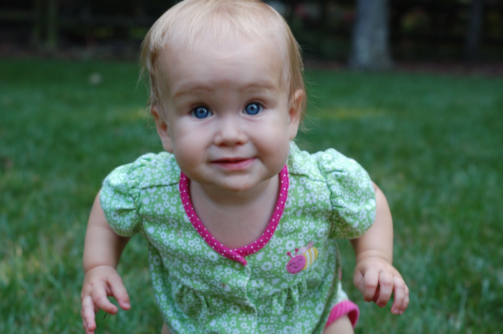 Lechner Family Adventures 1 Year old lechner-family-adventures-1-year-old