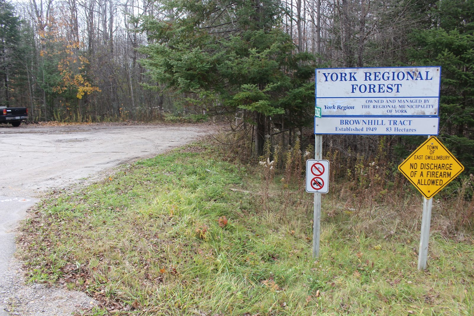 Shawn's Bicycle Adventures: Mountain Biking in the York Regional Forest ...