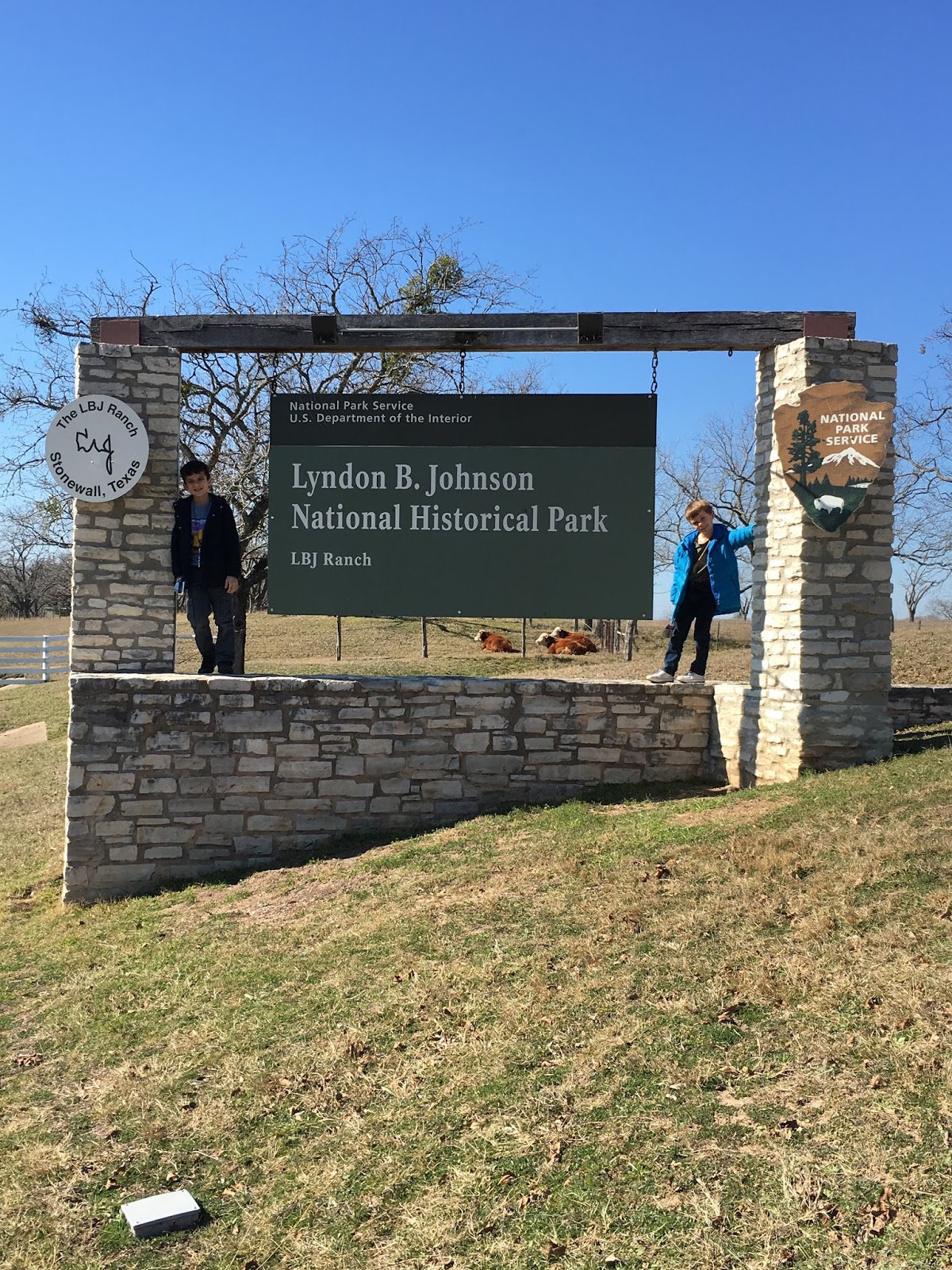 Carful of Kids: Wildflowers at the Lyndon B. Johnson National ...