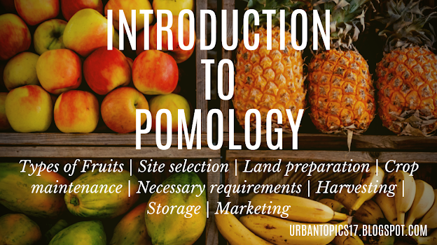 Introduction to Pomology :- Fruits Types, Planting, Growing and Fruit ...