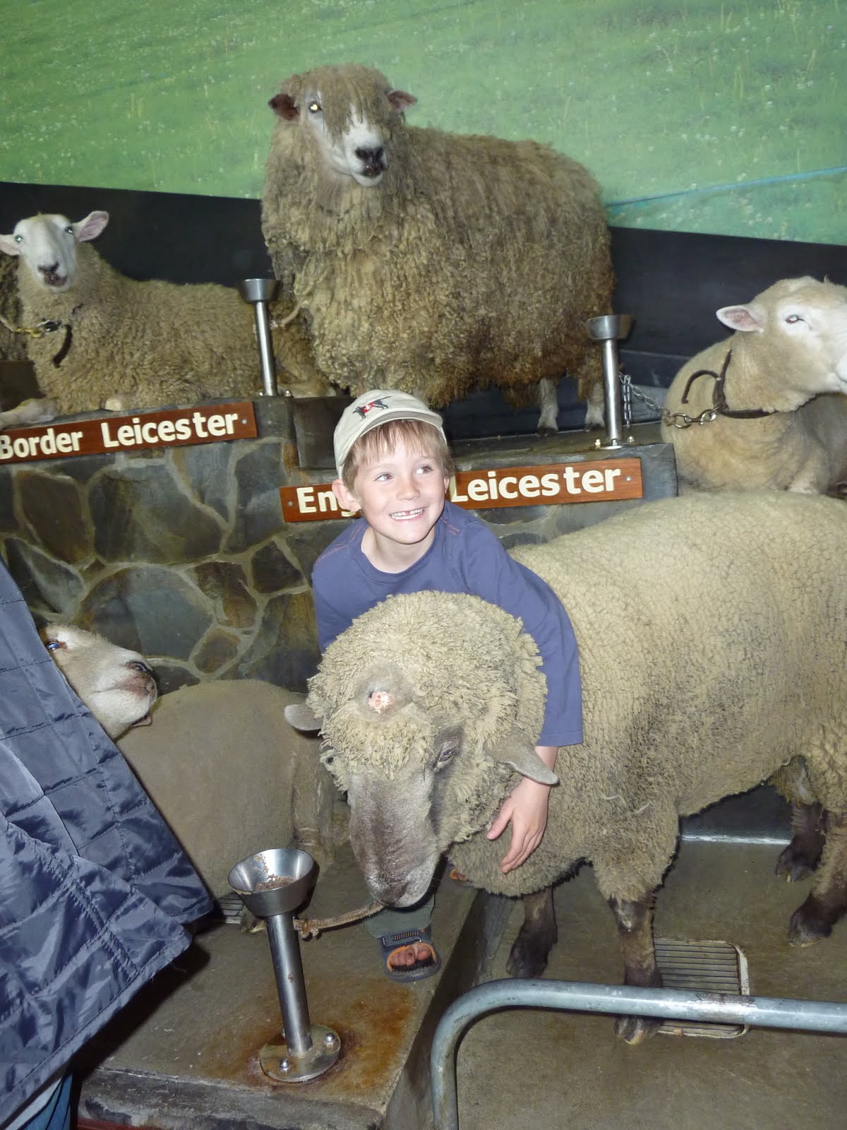 Ellingtons in New Zealand: ROTA"VEGAS"