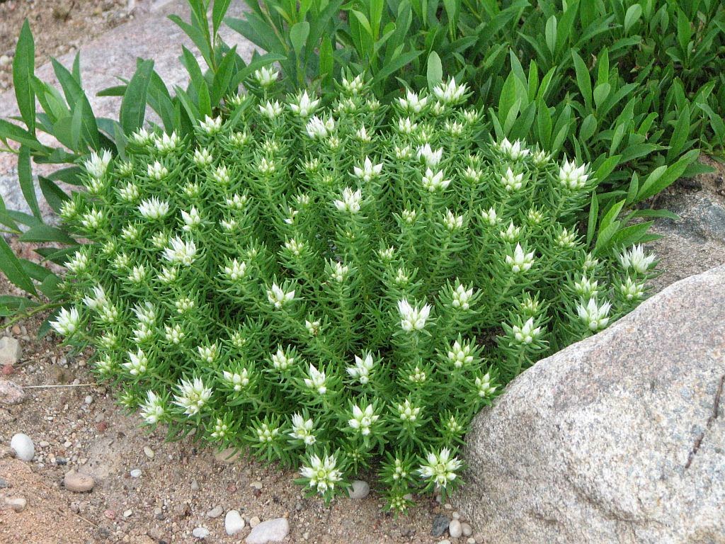 kahe valla piiri peal: 10 päeva juunist...