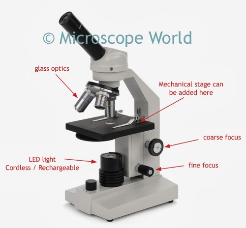 Microscope World Blog: Popular High School Biology Microscopes
