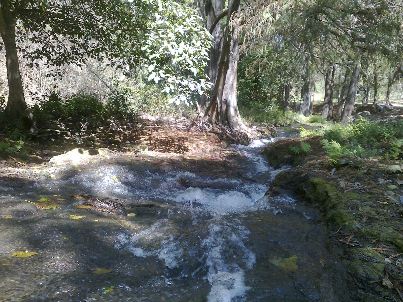 Blog de Carlos Esponda: EL RÍO SABINAL- CUENCA